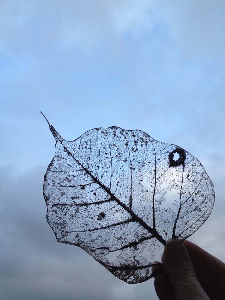 Magical Leaf Oracle - A Reading for Nurture and Guidance - Cauldrons ...