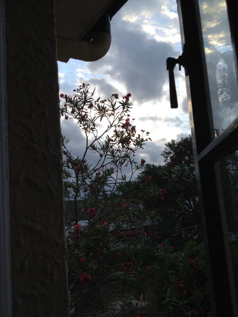 Nurse Bert Reports - Cauldrons and Cupcakes