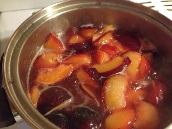 Simple Stewed Plums Recipe – Cauldrons and Cupcakes