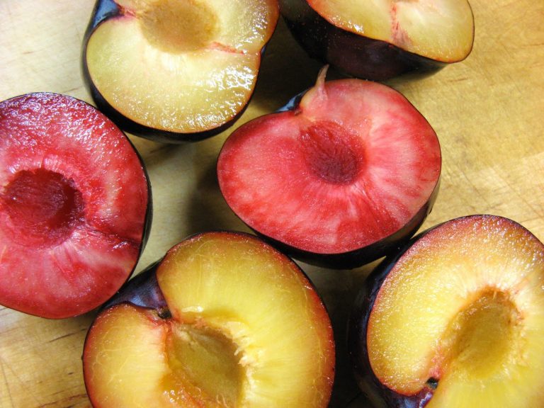 Simple Stewed Plums Recipe - Cauldrons and Cupcakes
