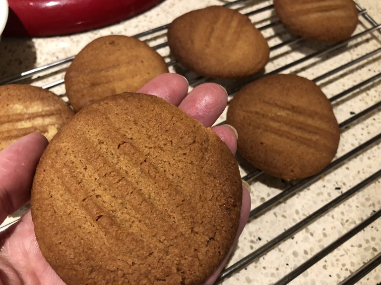 Ginger Cookie Ice-Cream Sandwich Recipe - Cauldrons and Cupcakes