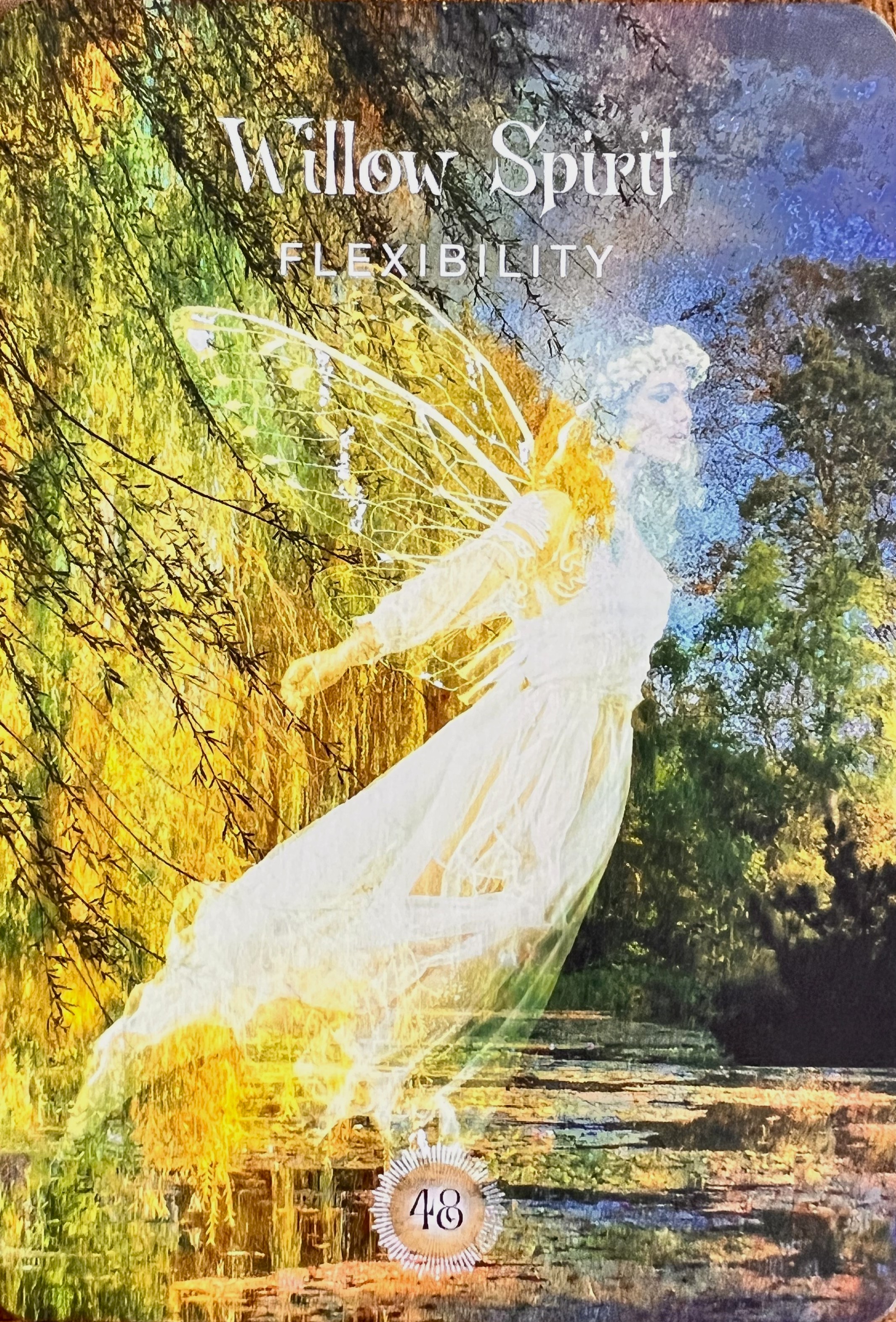 The Pause Before The Path – Monday Oracle 29 December 2025 - Cauldrons ...